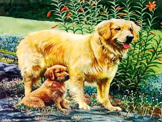 Алмазная мозаика/ подрамник/ полная выкладка/ круглые стразы/ 40х50см ...